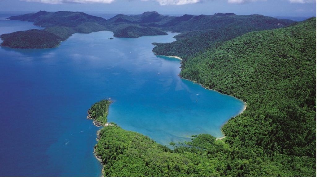 BLACKASH Hook Island – BLACKASH